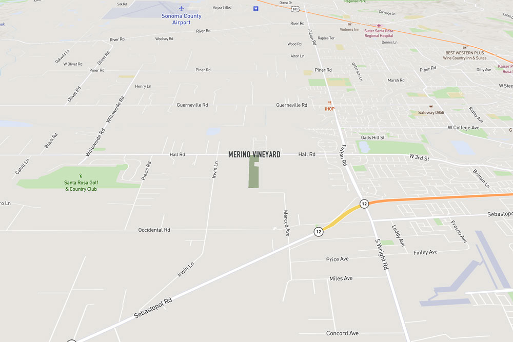 Explore Merino Vineyard | TWOMEY